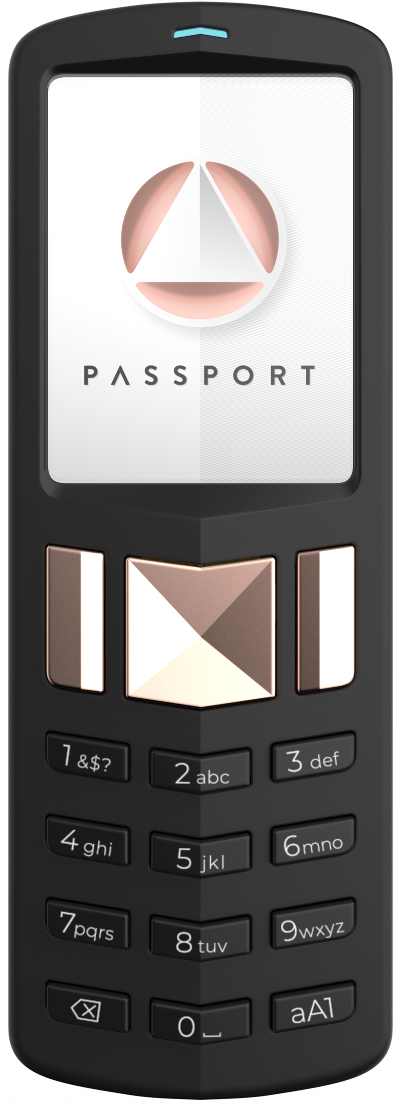 Passport Security Check